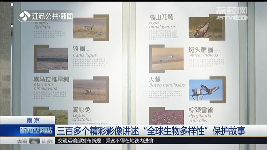 三百多个精彩影像展现“全球生物多样性”,讲述动植物背后的故事