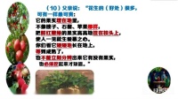 思维导图阅读《落花生》