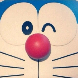 蔡北丝 