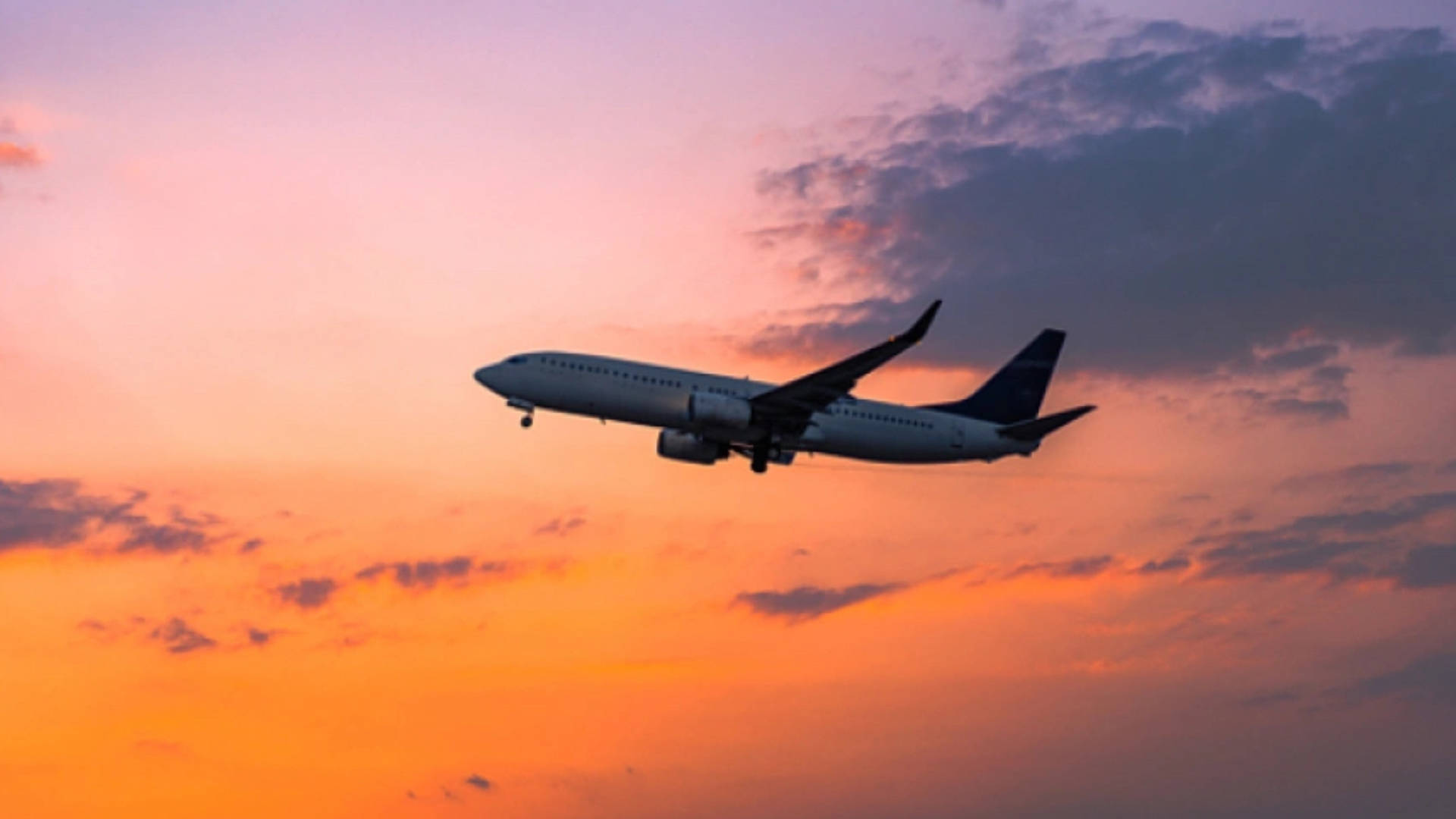 北京飞悉尼航班现负43元票价,客服:系未含税价,最后总价应为1200多元