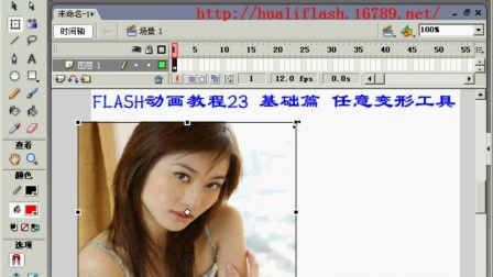 FLASH动画教程24 基础篇 任意变形工具
