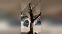 工程人的职业病-钢筋混凝土模板脚手架工程量怎么计算
