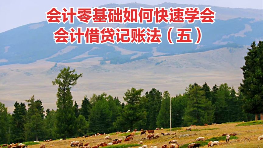 会计零基础如何快速学会会计借贷法(五)