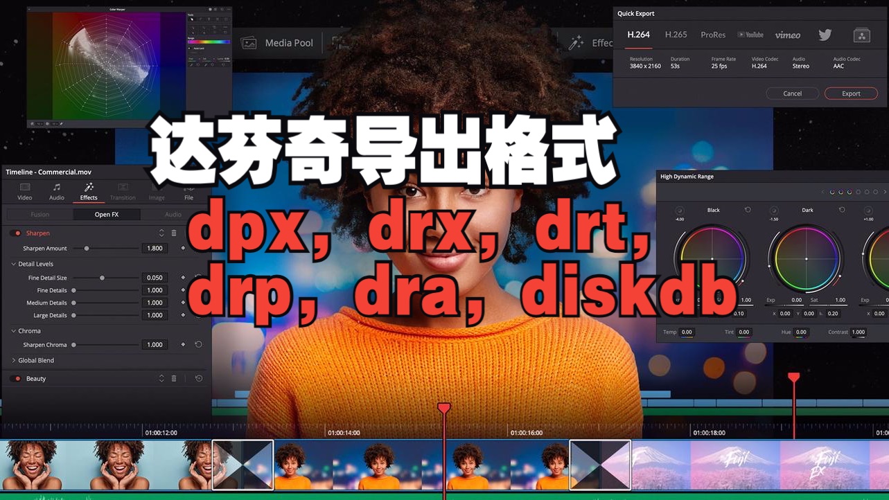 4达芬奇各种格式 dpx,drx,drt, drp,dra,diskd
