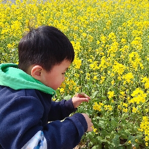 胖胖虎讲绘本 