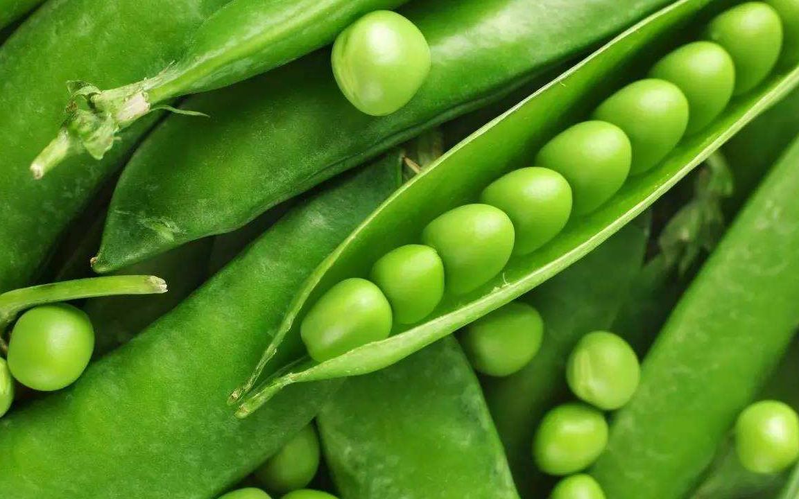 专题突破:自由组合定律的各种题型