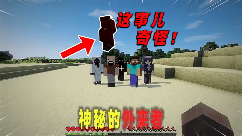 我的世界:玩家在游戏中遇到神秘实体