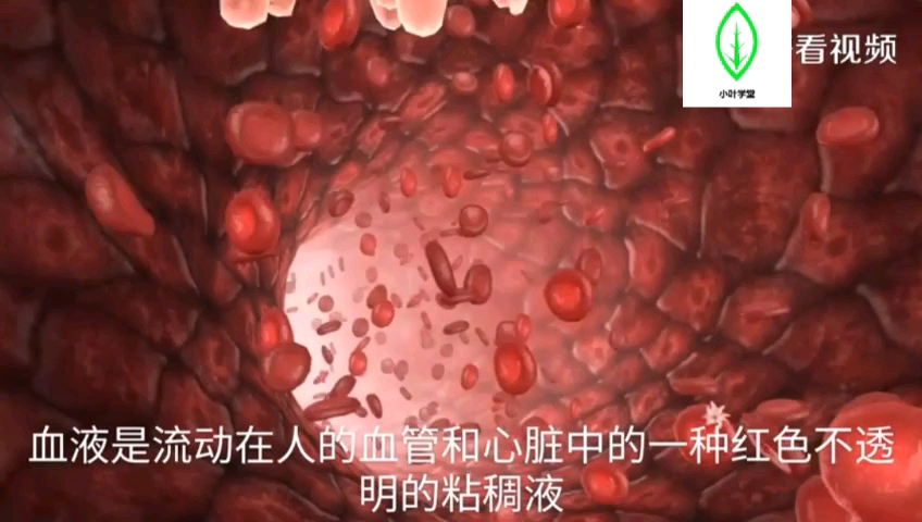 3D科普演示 血液中红细胞白细胞血小板它们之间起什么作用