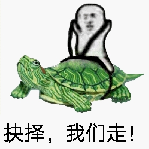 浮沉小飞 