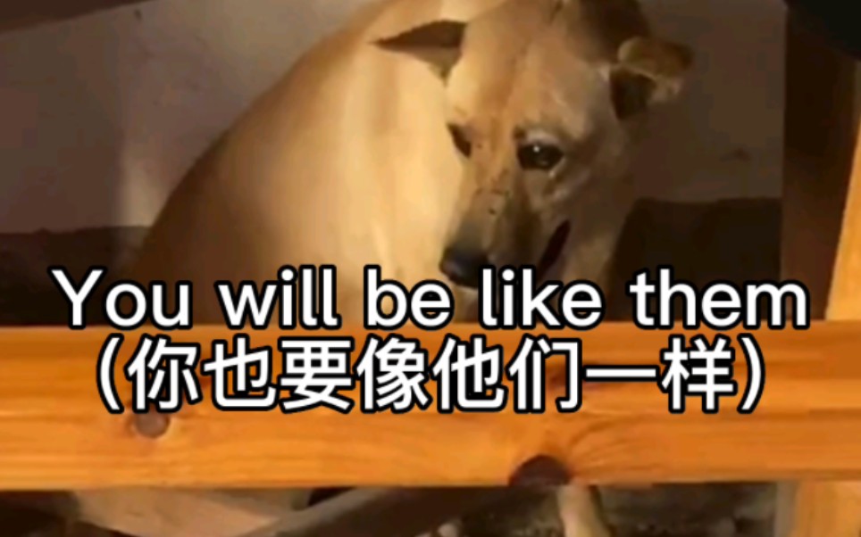 散装英语|So, you will be like them?