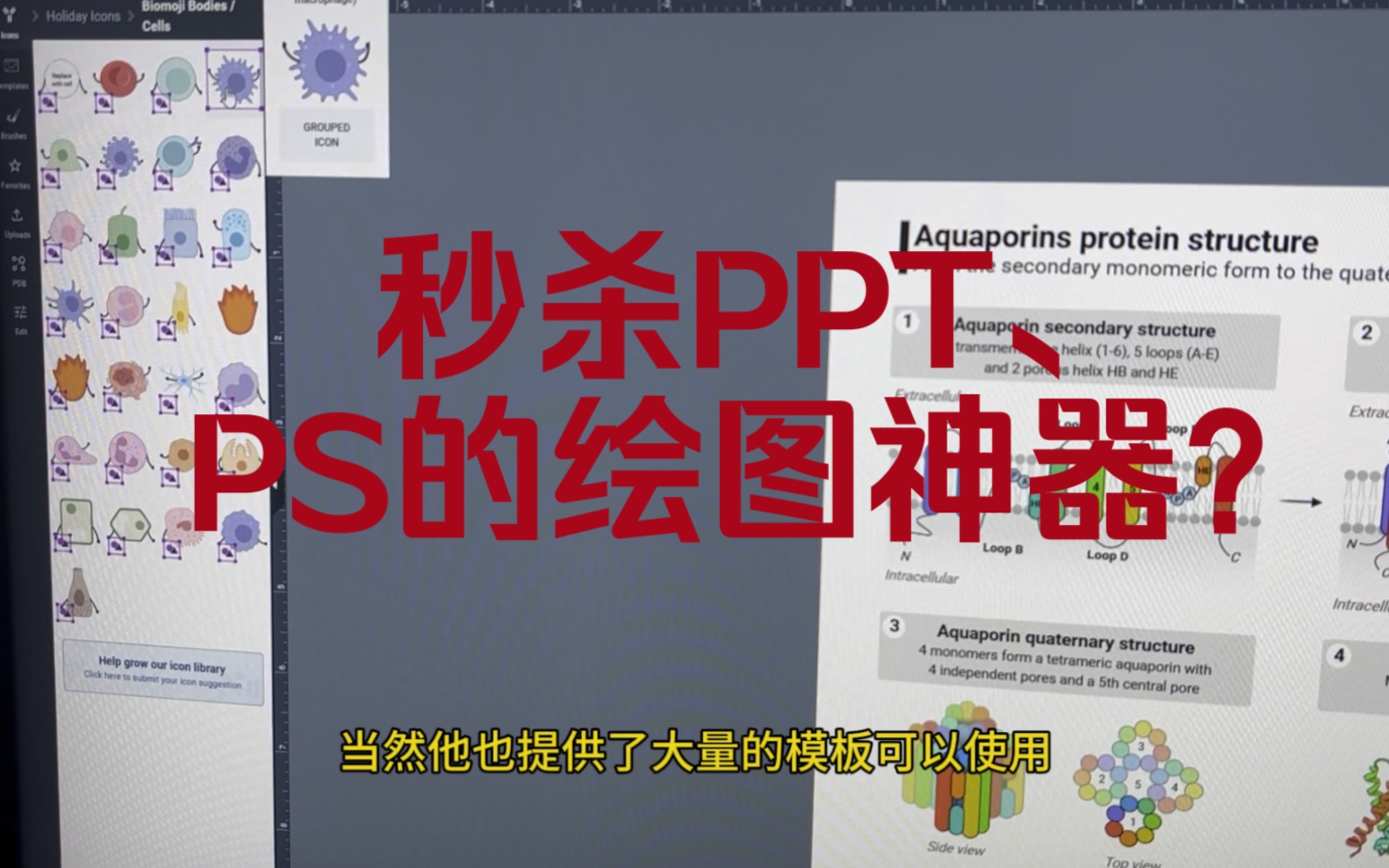 ...分享一个nature都在用的科研绘图神器 BioRender, 秒杀PS、AI与PPT