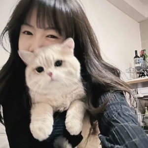 哈基米编程 