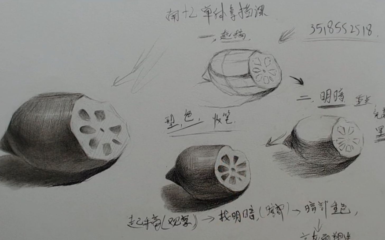 【合尚教育】【素描教学】教大家来画画连藕