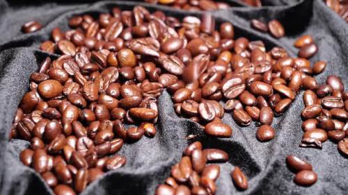 全球咖啡师私藏!这杯被捧上神坛的咖啡到底有多绝?