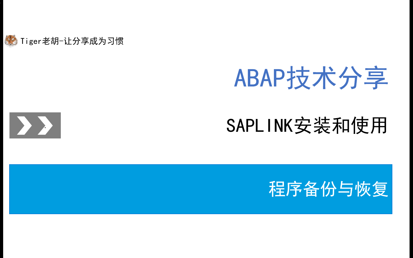 ABAP技术分享-SAPLINK安装和使用