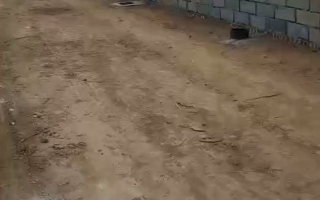 钢架养牛大棚施工 养牛棚建设方法 新式牛棚搭建