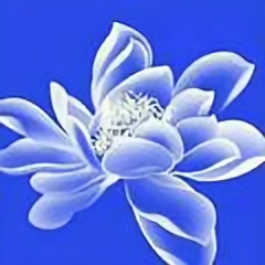 海之平静 