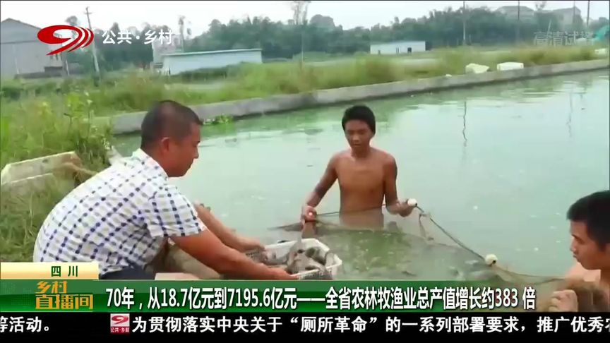 新中国成立70年:四川省农林牧渔业总产值从18.7亿元到7195.6亿元