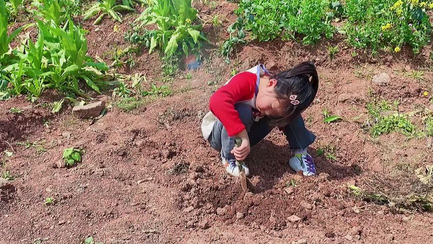 植树节#记录美好童年 #dou是新一代 #向往的油菜花