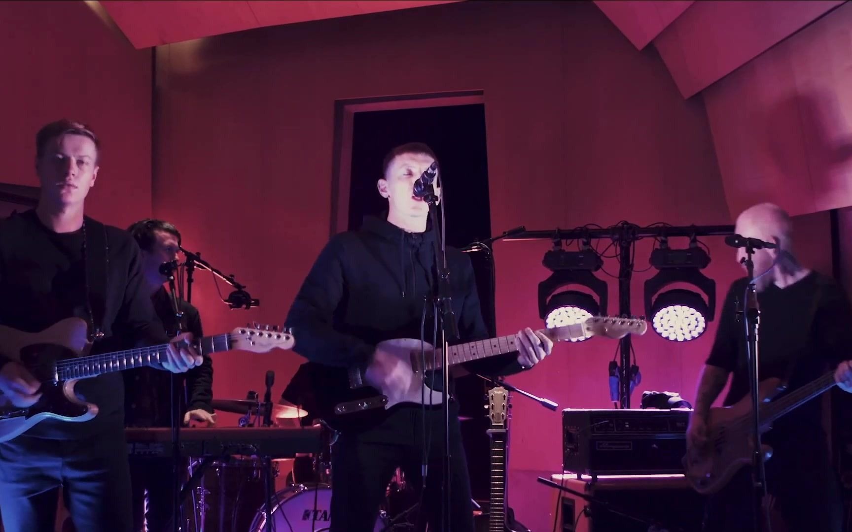 LEWITT莱维特MTP550DMs专业演出家用直播录音动圈手持麦克风话筒