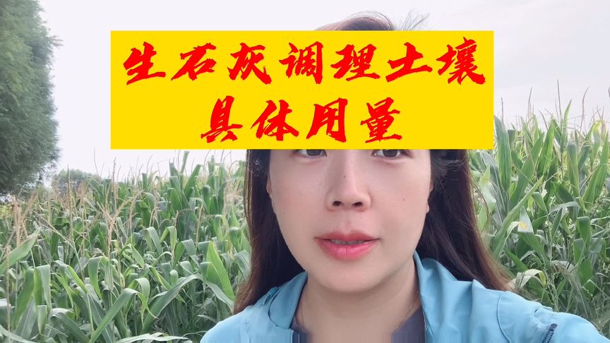 生石灰也能调理土壤,具体用量看后图