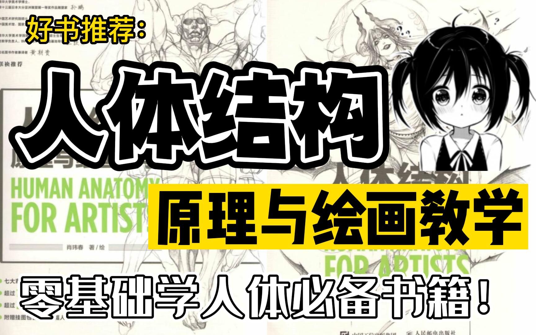 很推荐春哥的书!《人体结构原理与绘画教学》跟着春哥学人体,你也能...