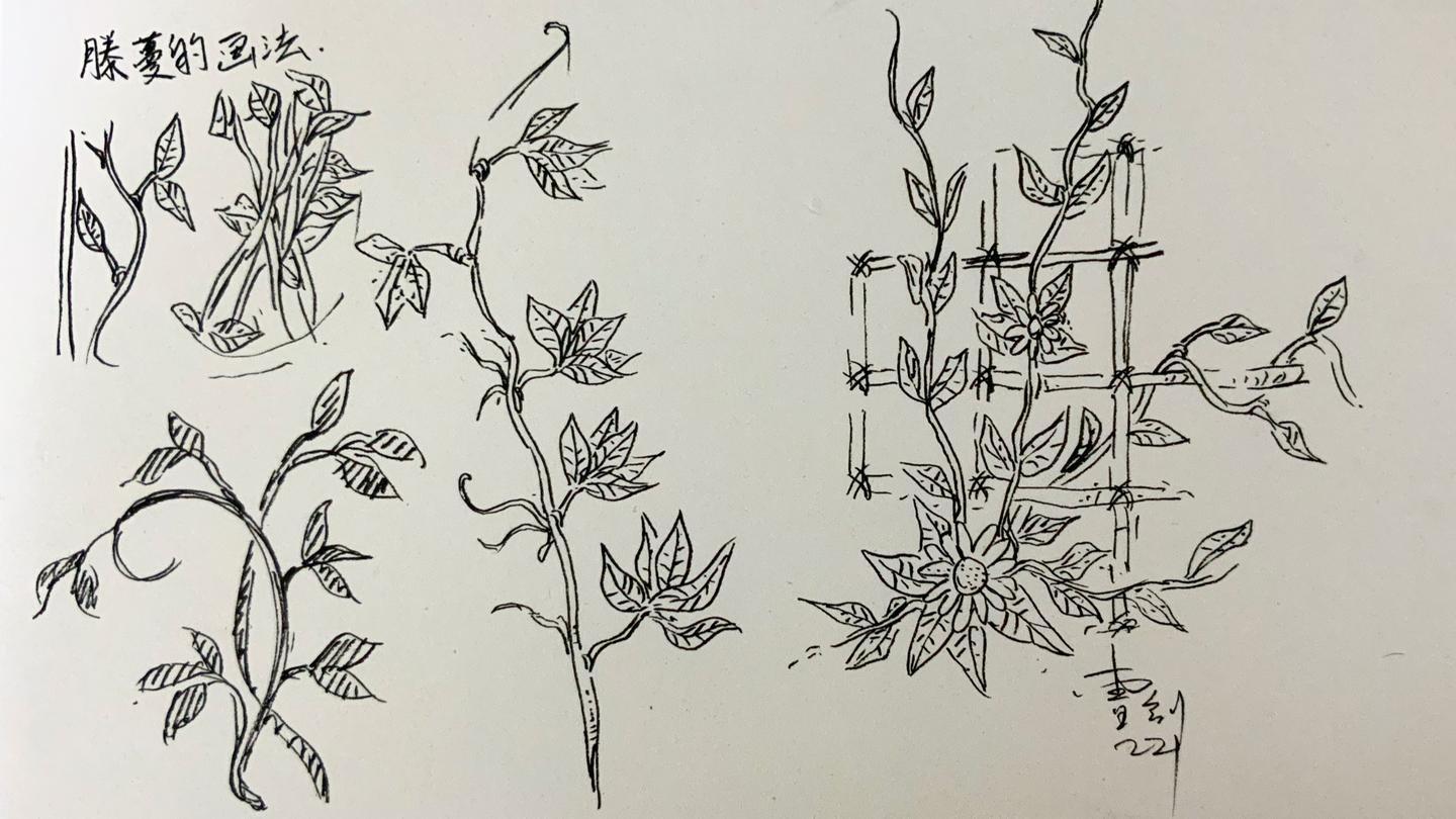 藤蔓怎么画?钢笔画入门,风景速写...
