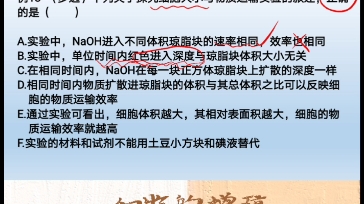 小梦讲生物细胞的增殖例题讲解(13)