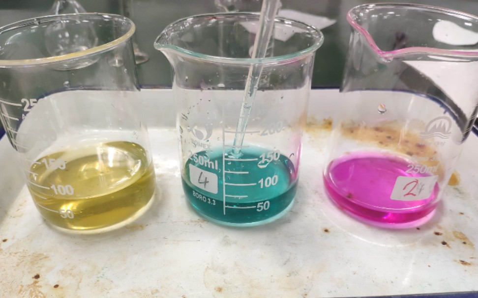 【南京大学实验课片段】碳酸钠的制备和碱度测定