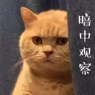 暗中观察总司令官 
