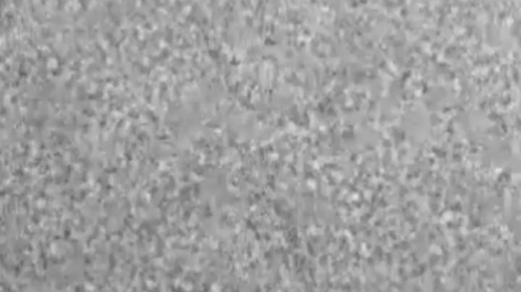 为了检验碳纳米管降解的一般性,研究了其他碳纳米管样品的降解。