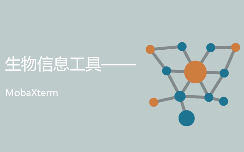 生信必备工具mobaxterm