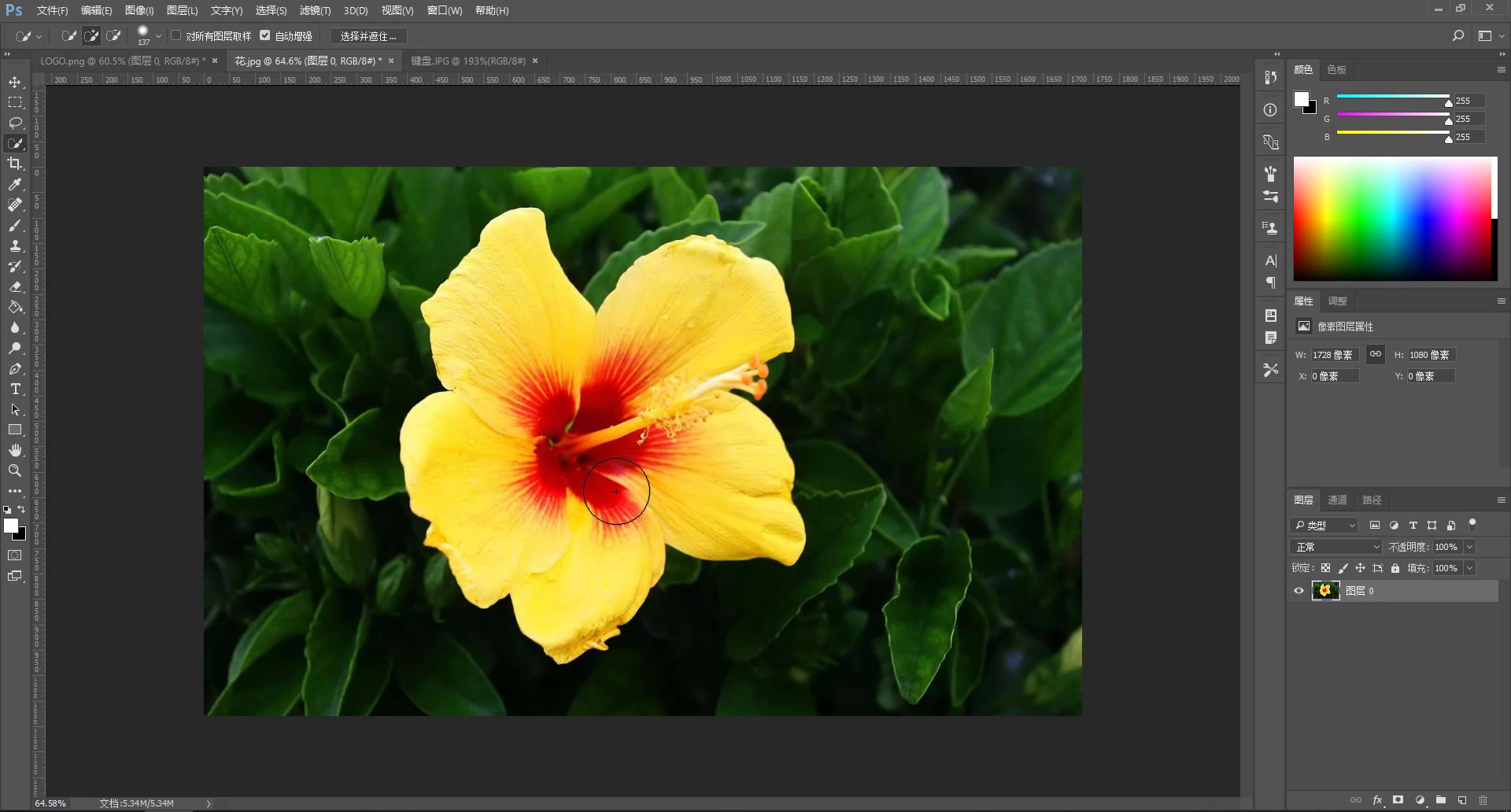 PS教程 PS入门学习 PS小白自学教程 第13节 蒙版
