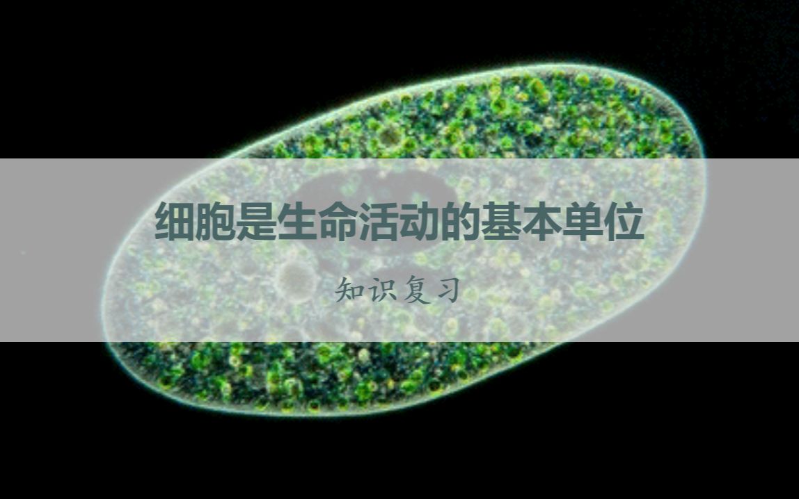 【知识复习】01细胞是生命活动的基本单位