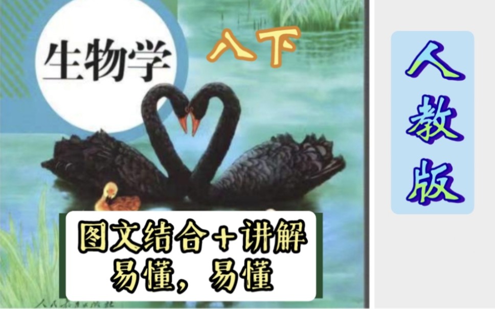 8.2用药与急救