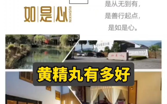 听陈总讲:吃黄精丸有多好。#如是心 #如是心公益 #如是心酒店#如是心...
