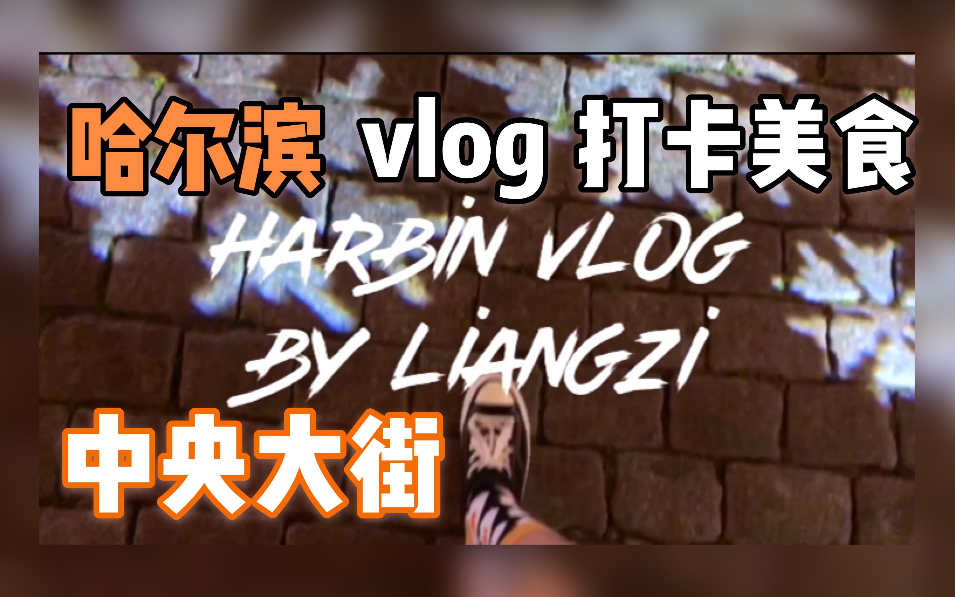 【国内日常】哈尔滨中央大街/美食打卡/vlog/推荐/我的家乡/欢迎来玩～