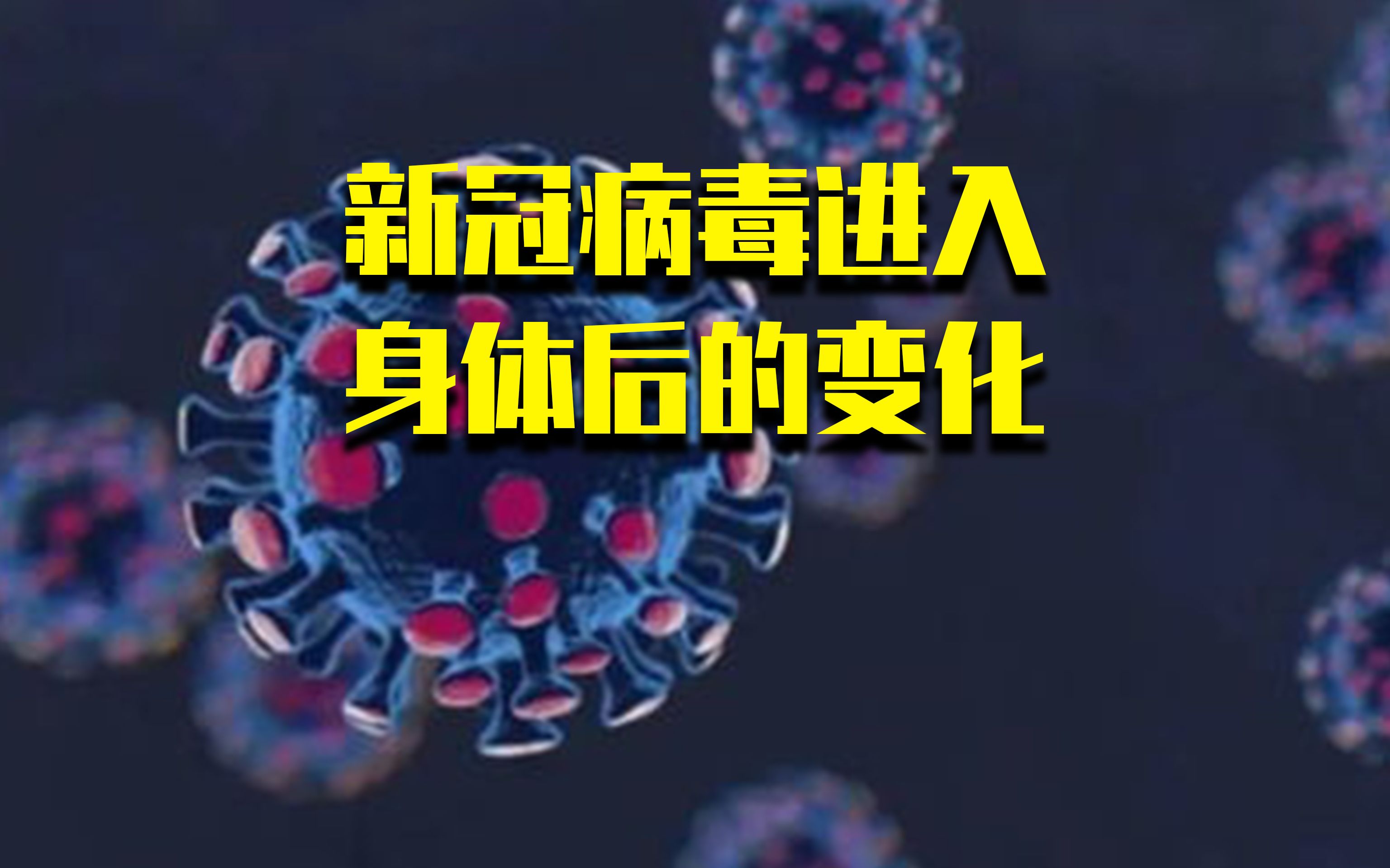 你知道不幸感染了新冠病毒,身体会发生怎样的变化吗?