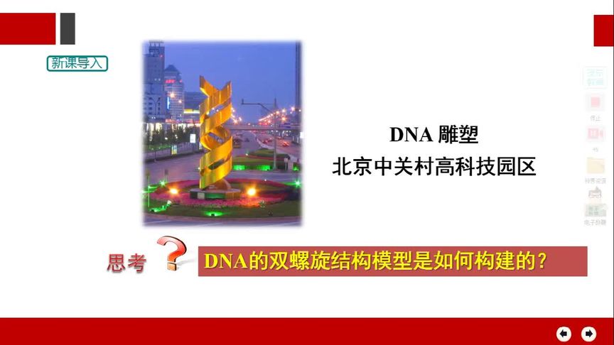 DNA双螺旋结构模型的构建