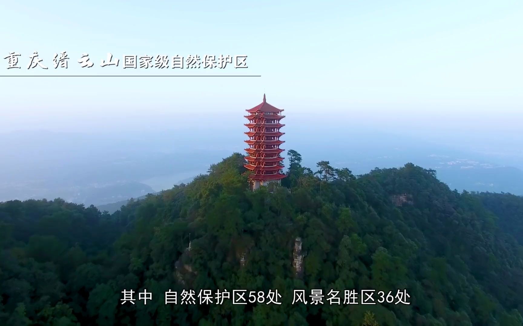 保护生物多样性主题宣传片—重庆篇