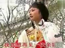 潮剧唱段《思亲娘》唱:刘小丽