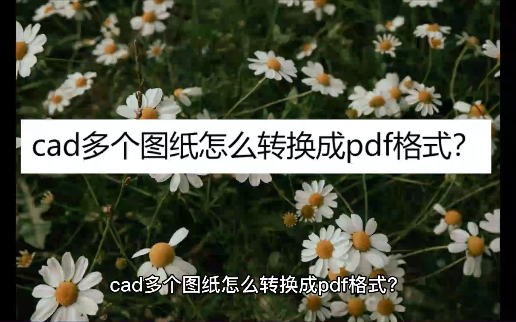 cad多个图纸怎么转换成pdf格式