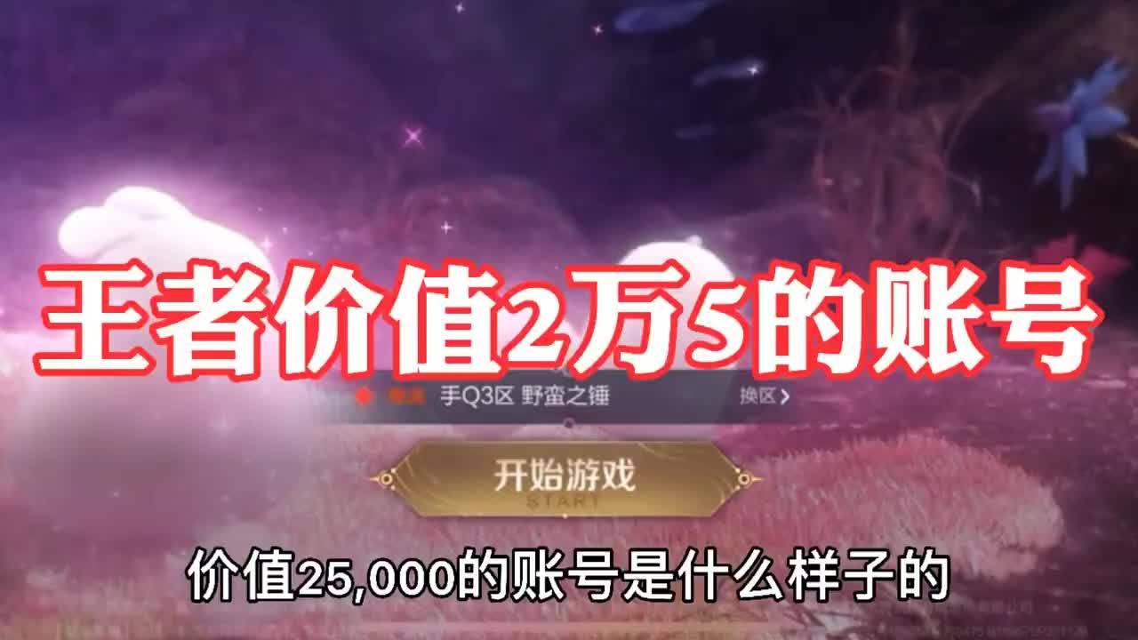 价值25000的账号是什么样子的