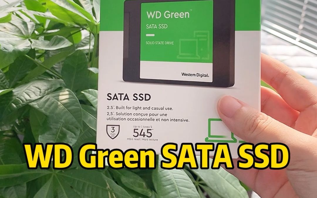 西部数据绿盘,装机固态!