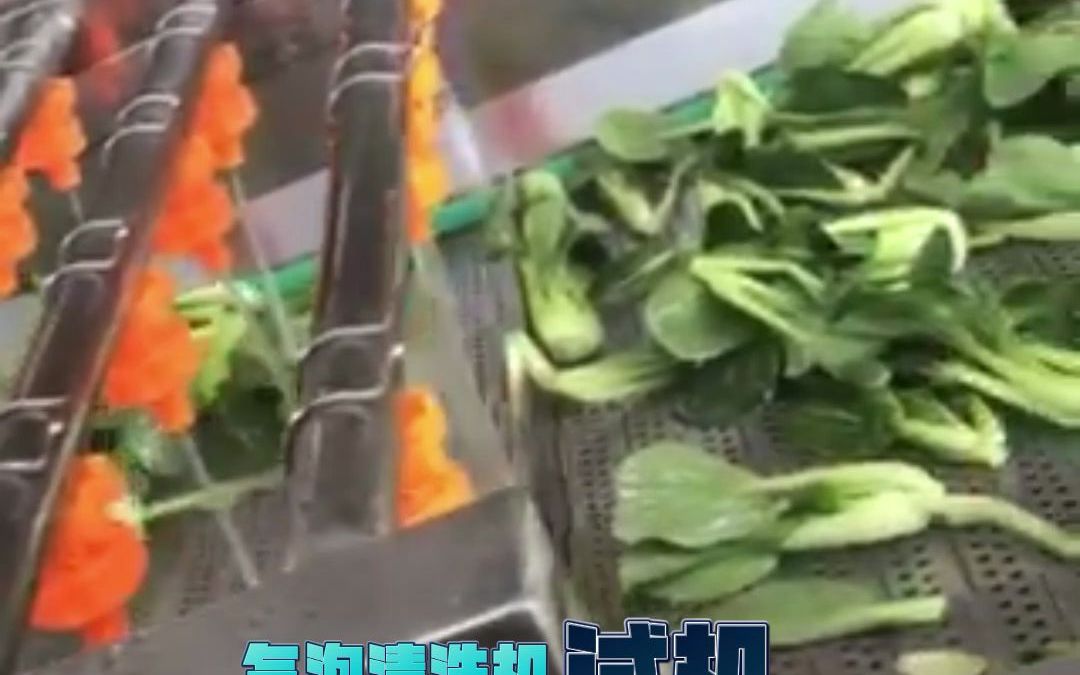 气泡清洗机洗油菜视频 油菜清洗机 多功能气泡清洗机 大型洗菜机 蔬菜...