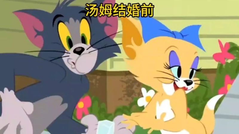 汤姆结婚前 动画视频 猫鼠 动漫视频