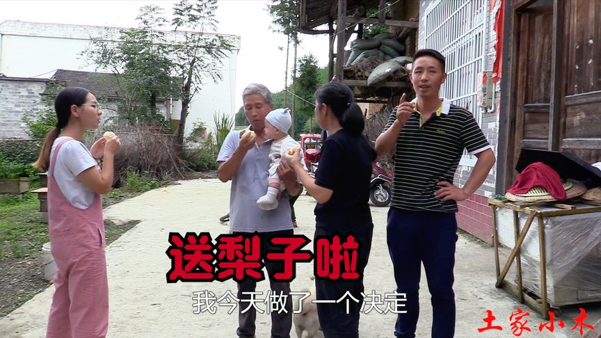 小木亲手种的梨子成熟了,今天做了个决定,准备送50份梨子给大家