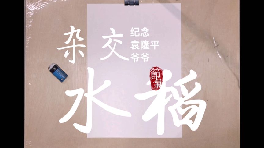 少儿美术绘画《杂交水稻》纪念袁隆平爷爷学习版