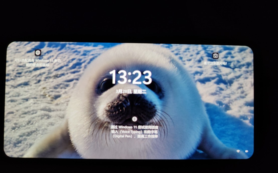 k20pro由win11切换安卓系统miui14
