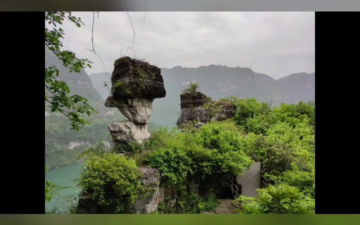 几个不错的淘客平台 今天给大家推荐 大海风云 对上日纪口 鉴 - 抖音